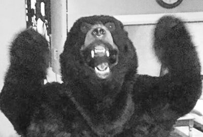 Meet The CAG Truck Financing Team at CAG Truck Capital